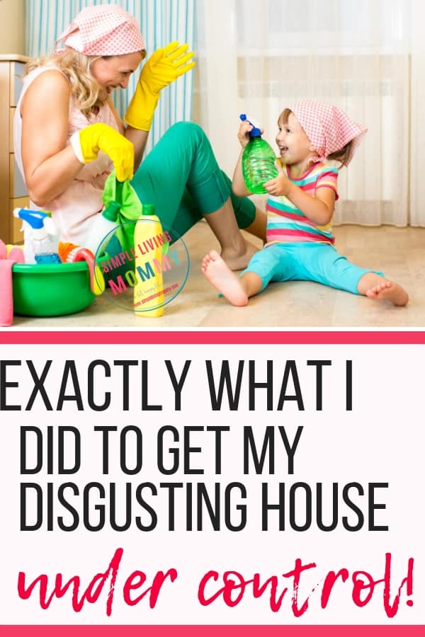 get your disgusting house under control 600x900 2 - Simple Living Mommy